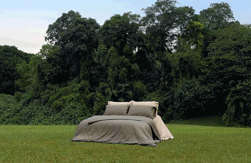 Bundle Sets| Luxury Organic Cotton Bed Sheets | SOJAO Thailand